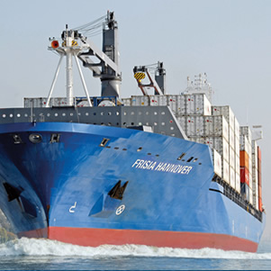 Hartmann Group - Containerschiffe